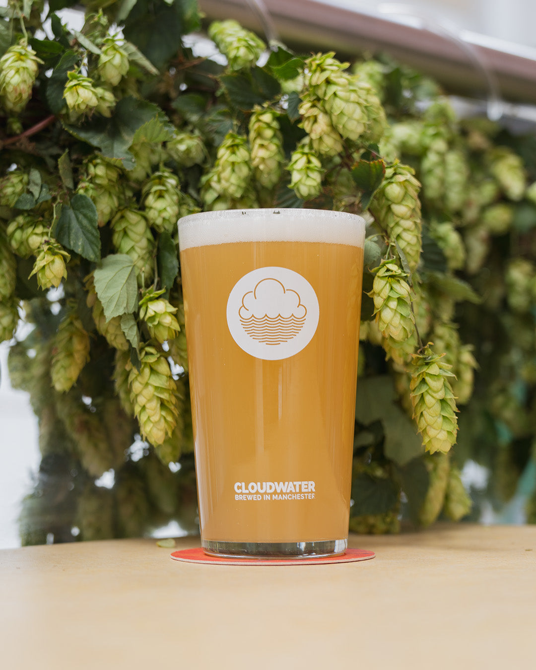 About – Cloudwater